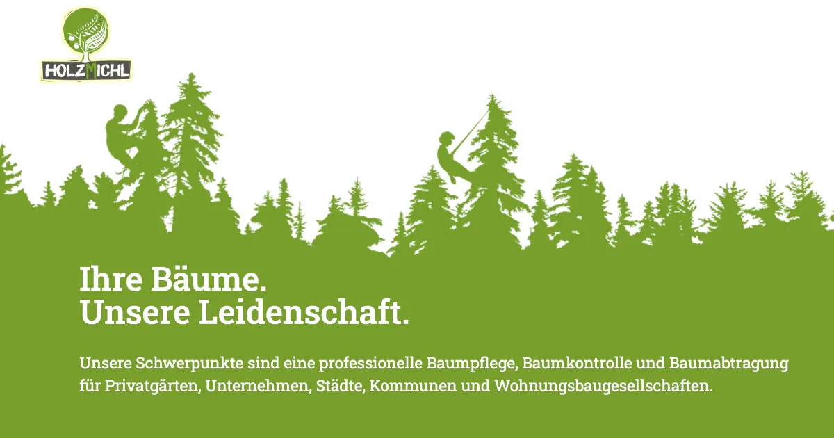 holzmichl-baumpflege.at – Baumpflege, Baumkontrolle, Baumabtragung und mehr